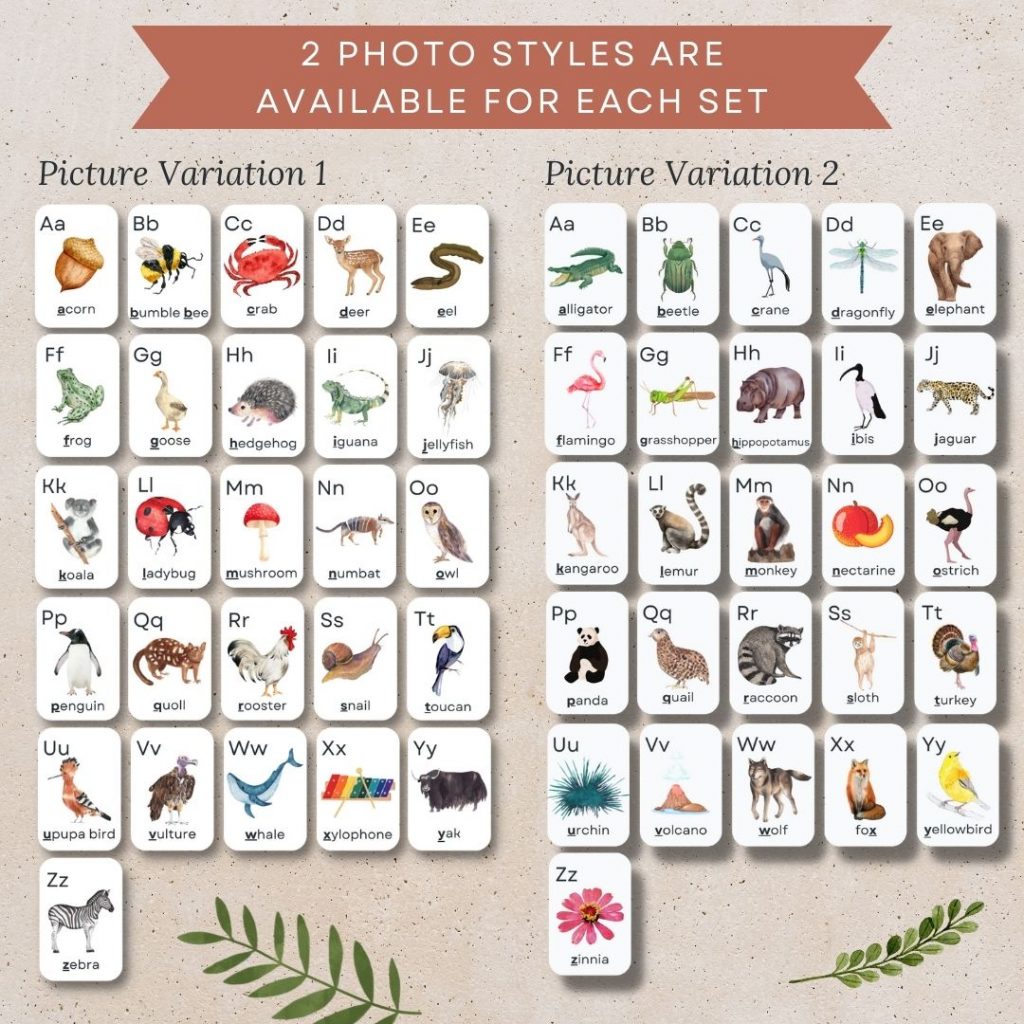 Alphabet Flash Cards PDF - Little Moon Paper Co