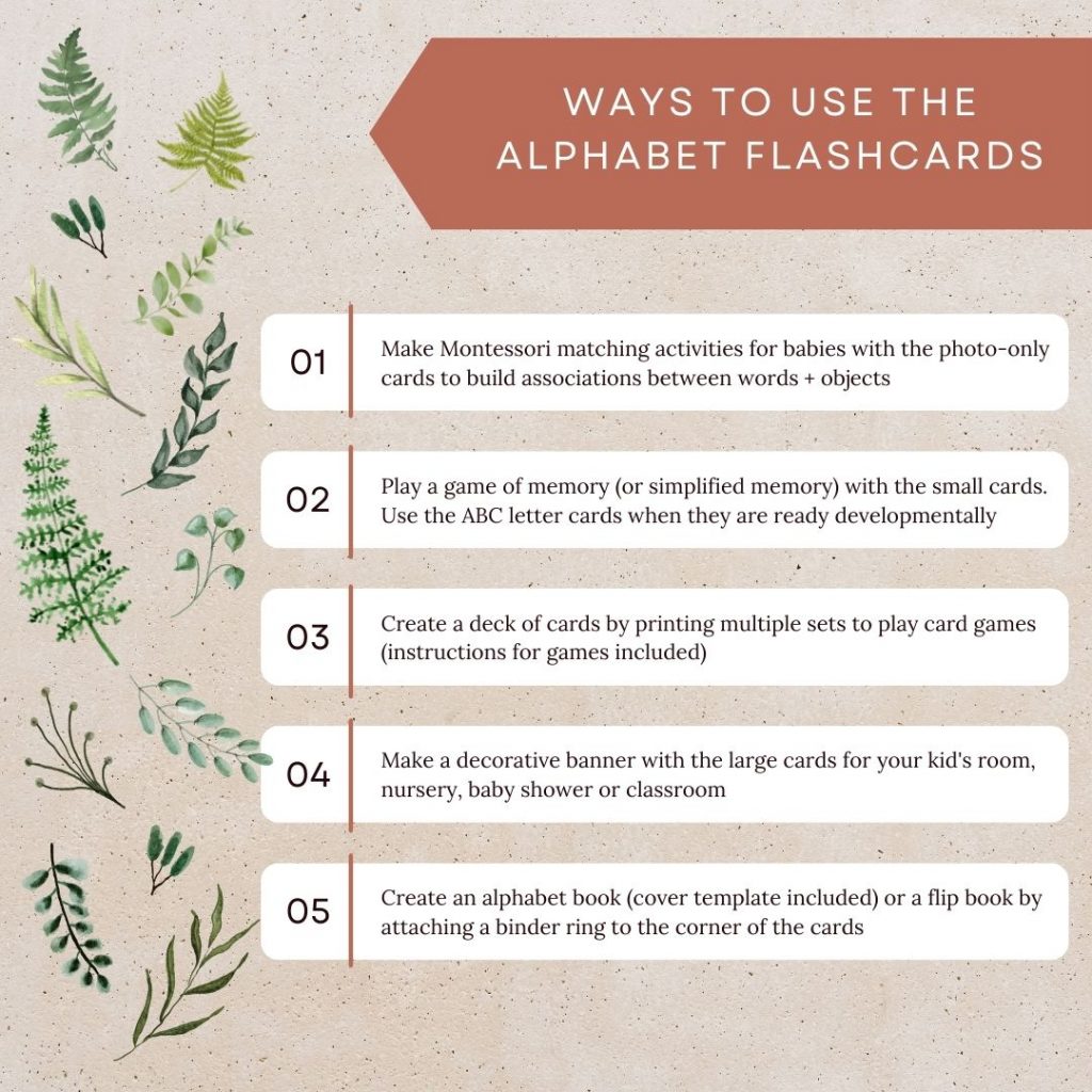 Alphabet Flash Cards PDF - Little Moon Paper Co