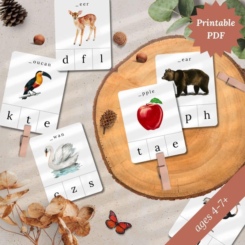 Educational Printables - Little Moon Paper Co