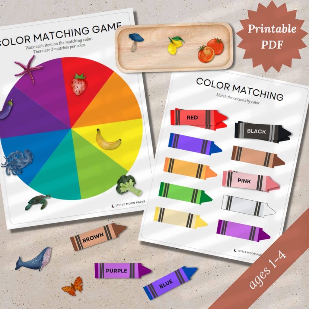 Educational Printables Shop - Little Moon Paper Co