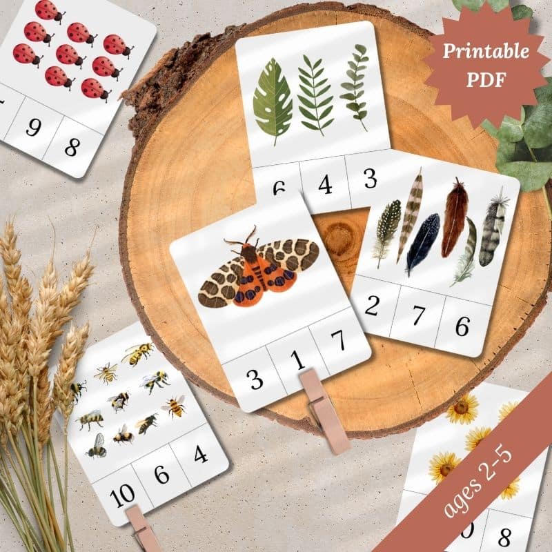 Alphabet Flash Cards PDF - Little Moon Paper Co