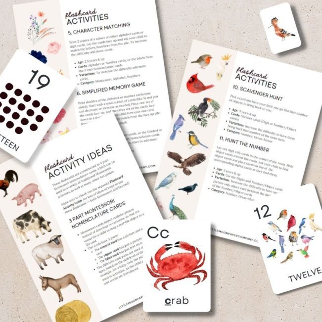 Flashcard Games & Activity Guide - Little Moon Paper Co