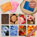 13 Fun Printable Matching Games for Kids - Little Moon