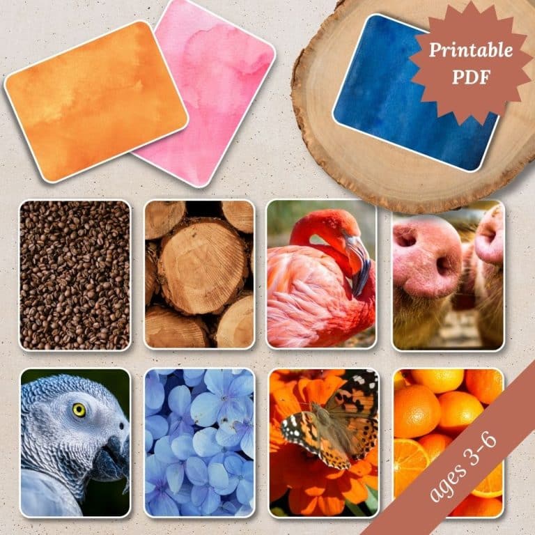 13 Fun Printable Matching Games for Kids - Little Moon