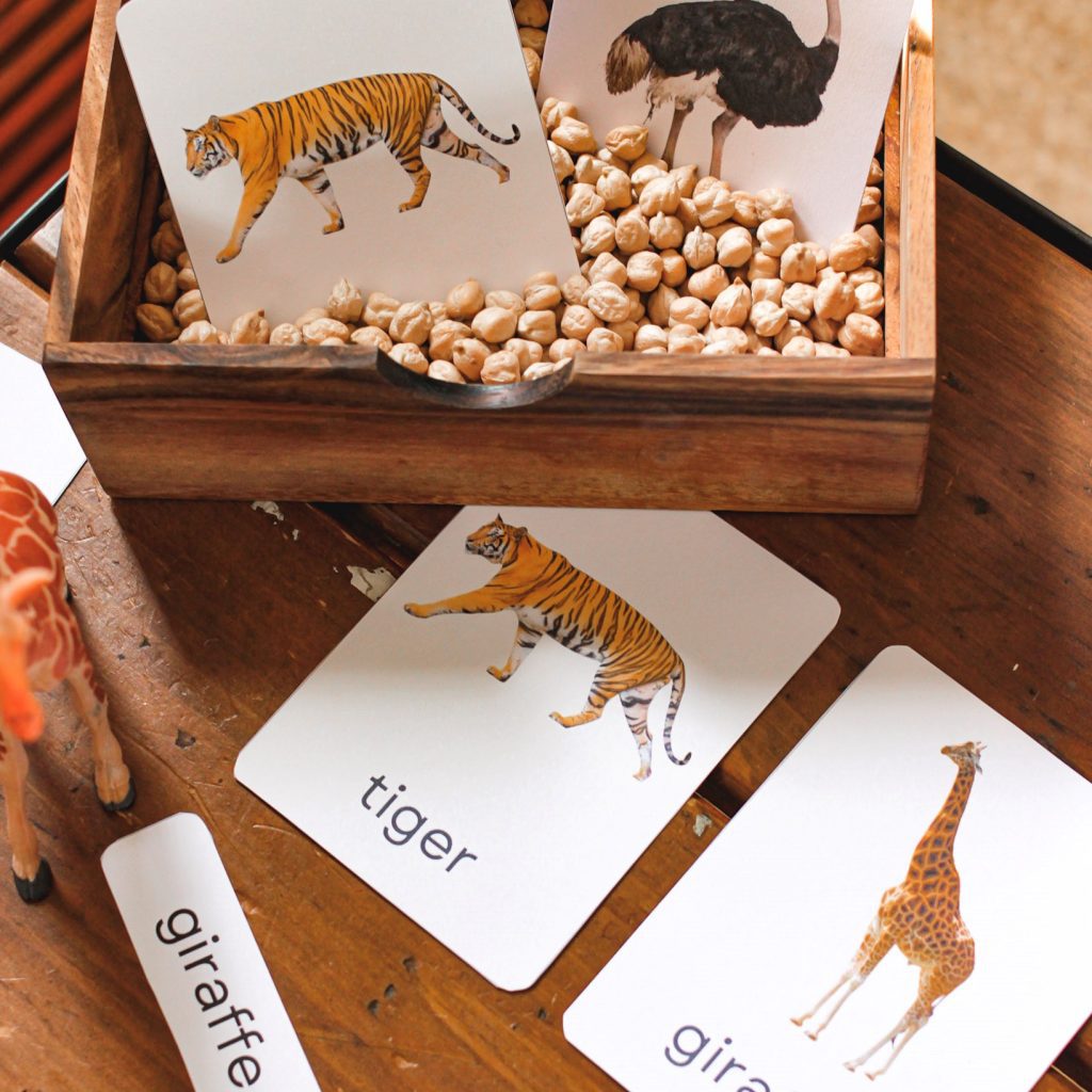 13 Fun Printable Matching Games for Kids - Little Moon