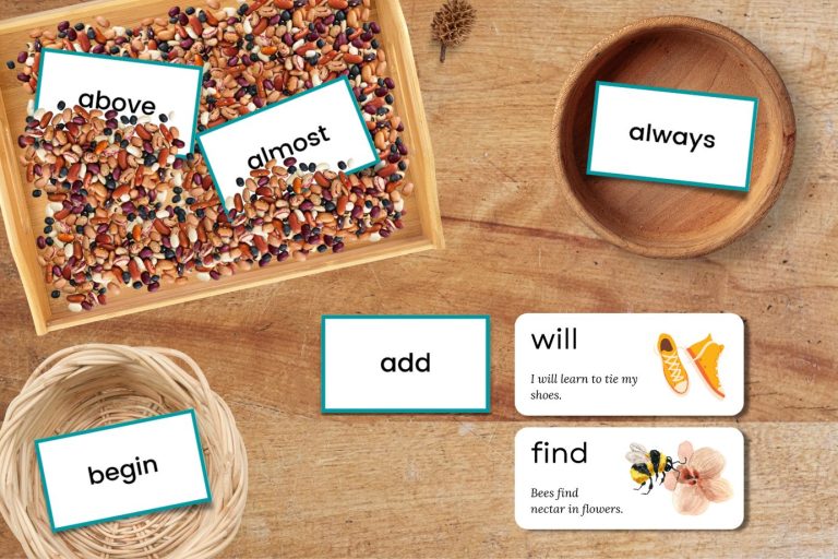 Visual Discrimination Activities for Kids - Little Moon