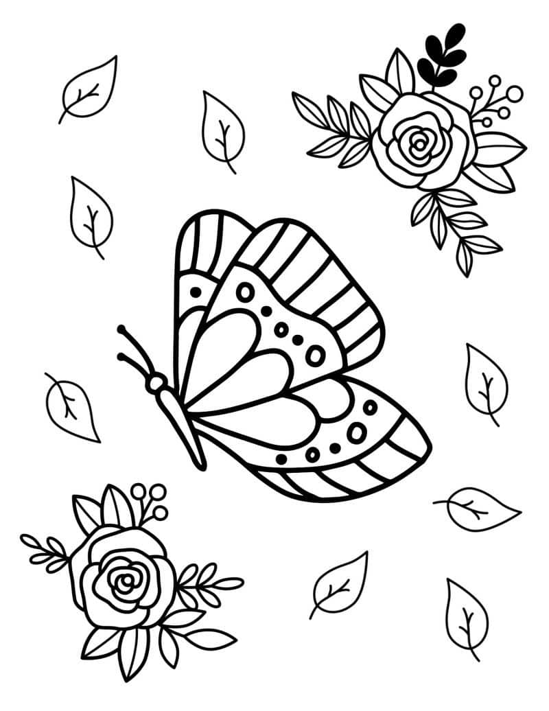 Free Simple Butterfly Coloring Pages - Little Moon