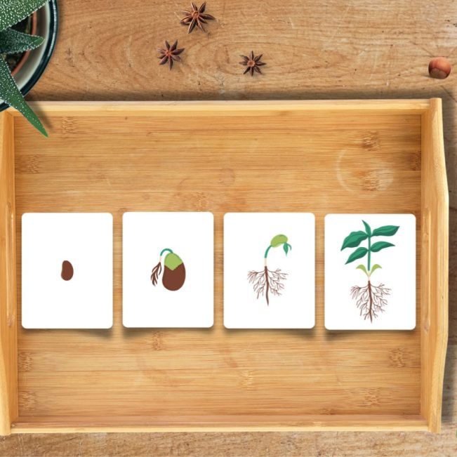 43 Best Cooking Activities for Preschoolers - Little Moon
