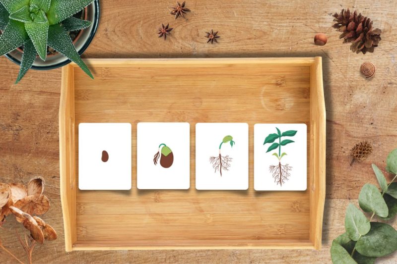 Want Your Kids to Listen? Try this 4 Step Sequencing Pictures Activity