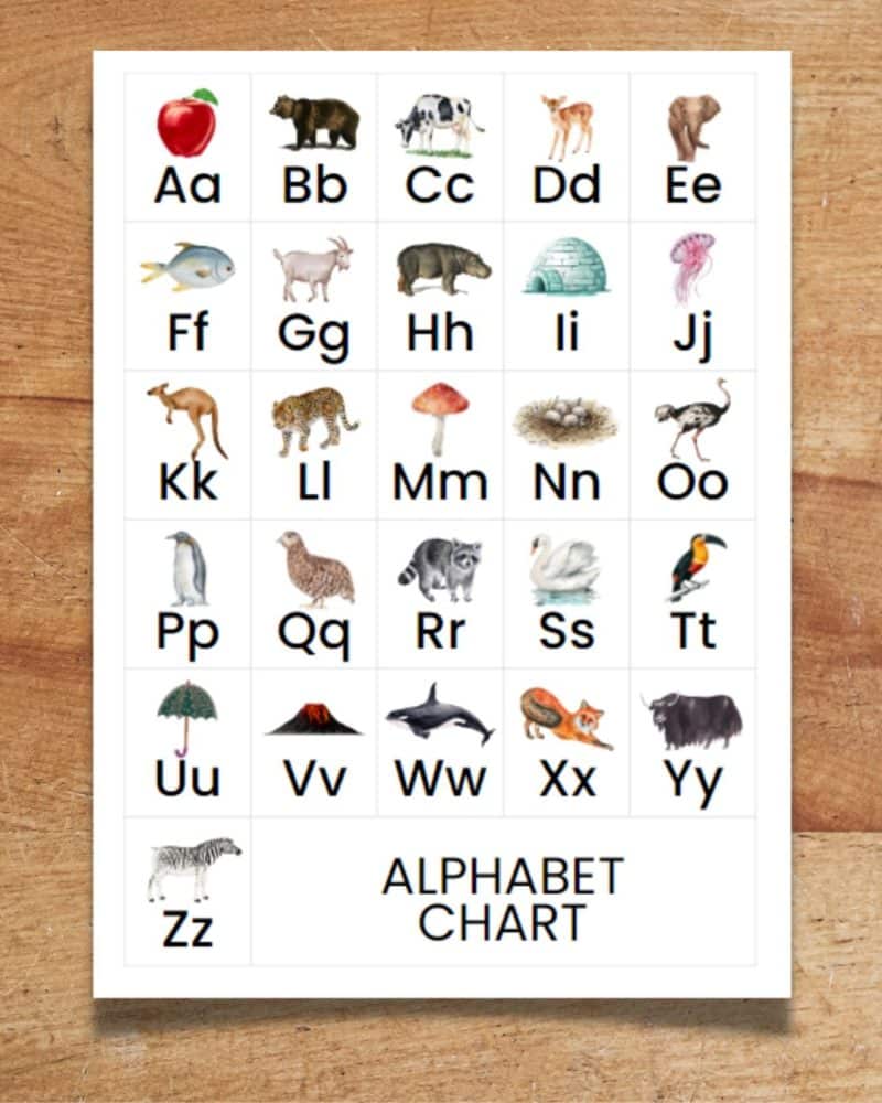 How to use an ABC Chart to Learn the Alphabet (6 Free Printables)
