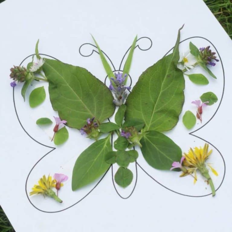 32 Formative Butterfly Activities for Preschoolers
