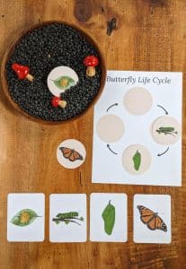 32 Formative Butterfly Activities for Preschoolers