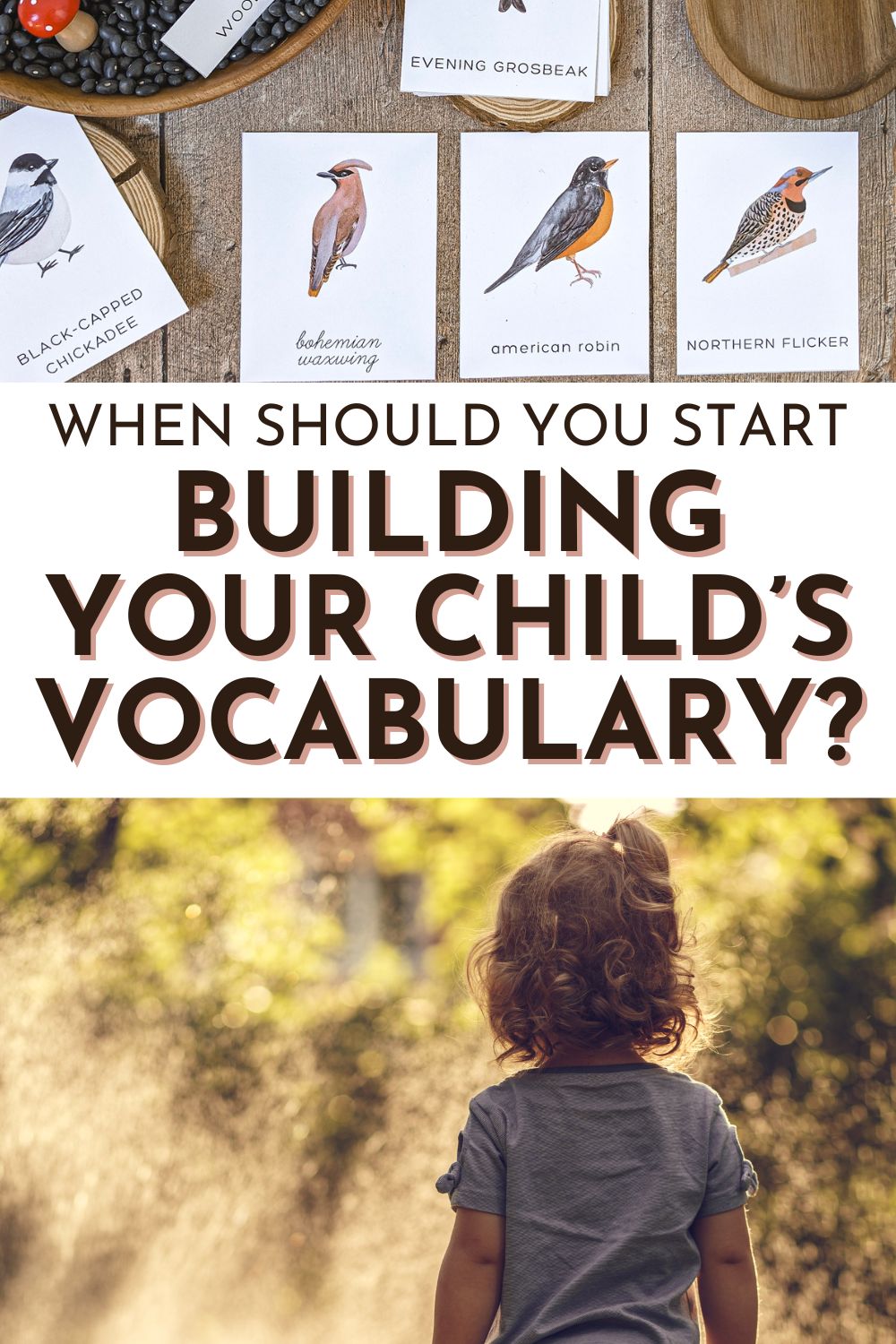 When should You Start building your child's vocabulary?