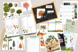 Learning Through Play & Communication Blog - Little Moon